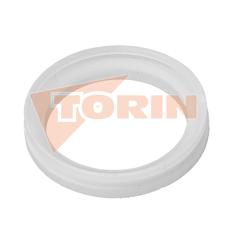 Disco gestra check valve with stainless steel disc DN 50 - Torin ...