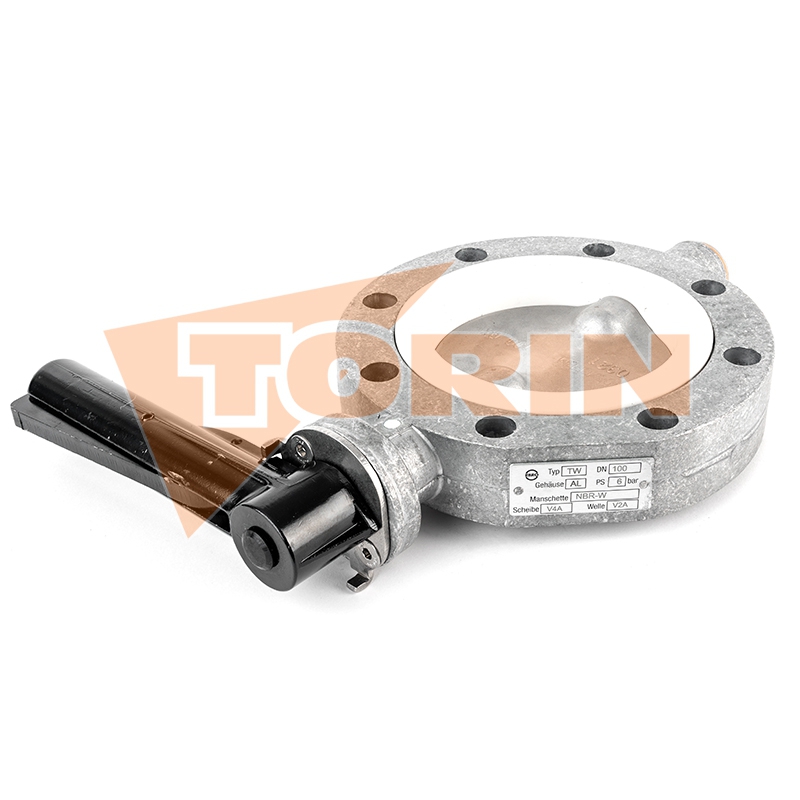 Check valve EUROPA DN 65 2 1/2 - Torin | Parts for tank & silo trailers
