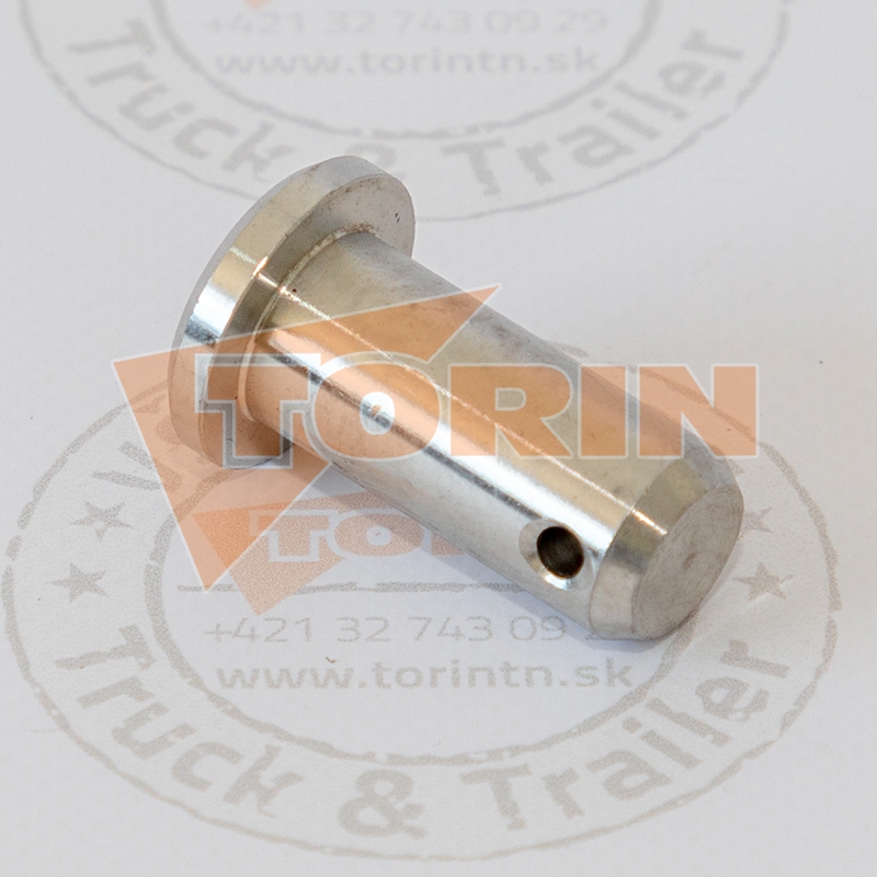 TW male coupling VK 50 brass - Torin | Parts for tank & silo trailers